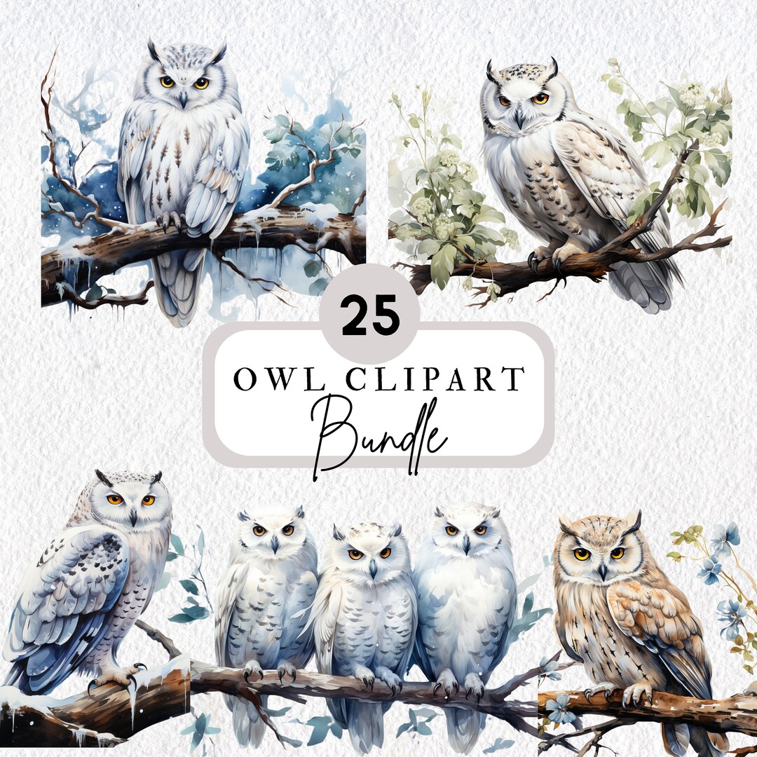 25 Owl Clipart Bundle, Cute Owl Clipart PNG, Snow Owl Clipart, Owl ...