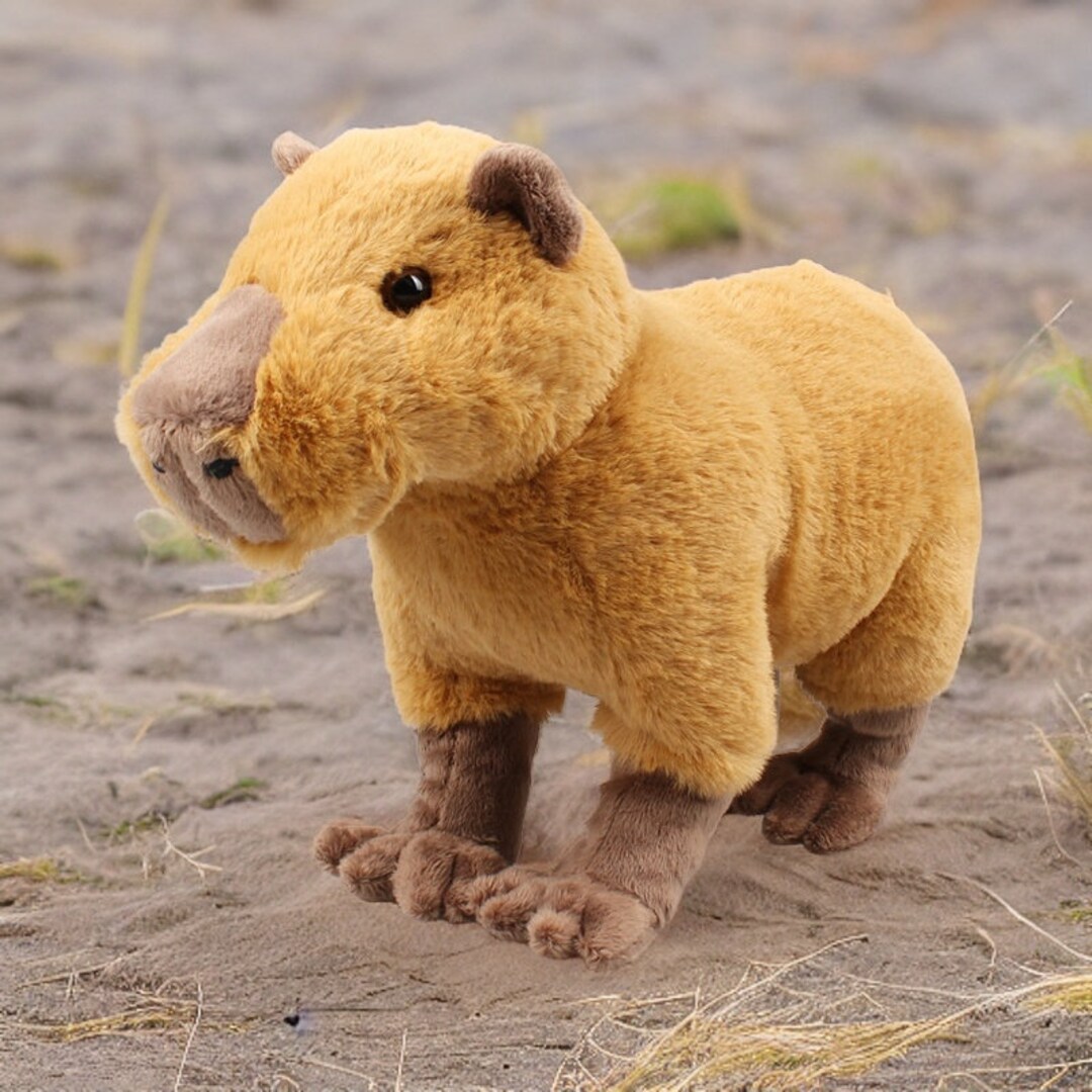 Capybara Capybara Plush Toy Capybara Plush Soft Plush Toy - Etsy