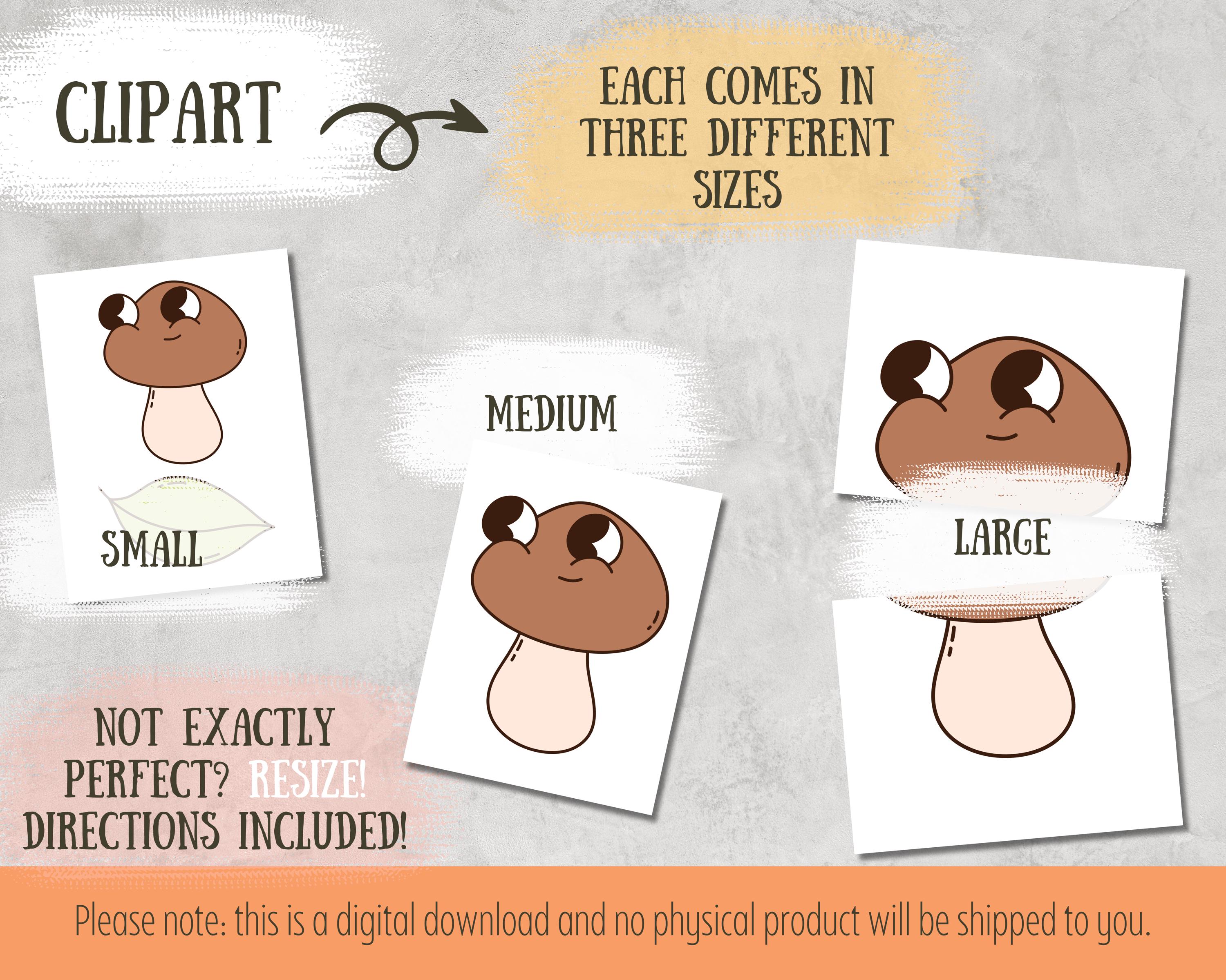 Autumn Fall Bulletin Board Kit Groovy Retro Leaf Leaves Beleaf in ...