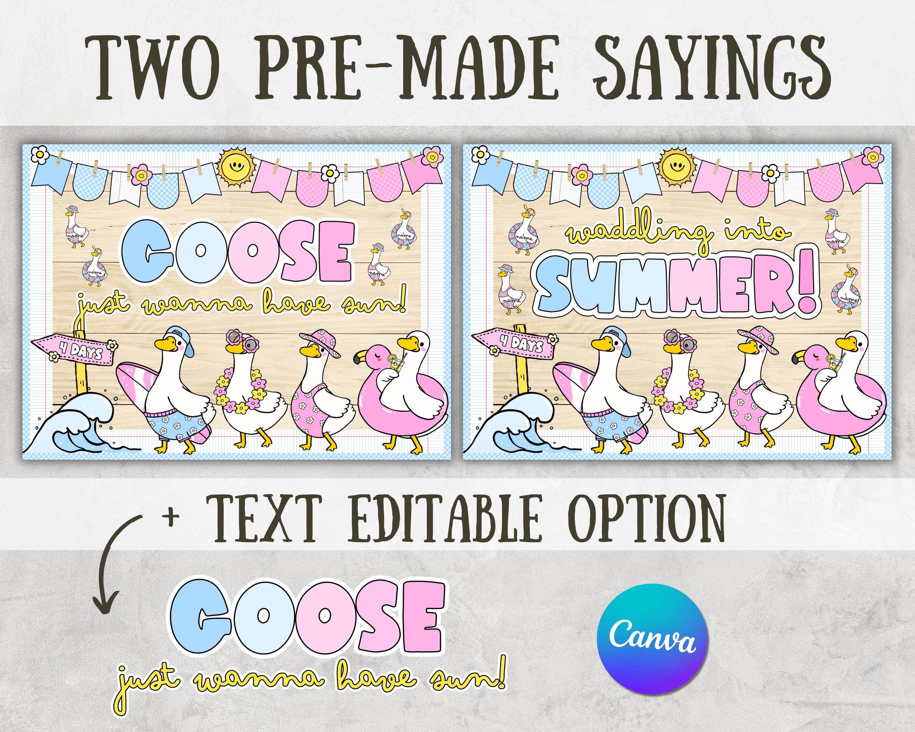 Countdown to Summer Bulletin Board Kit Silly Goose May June Door ...