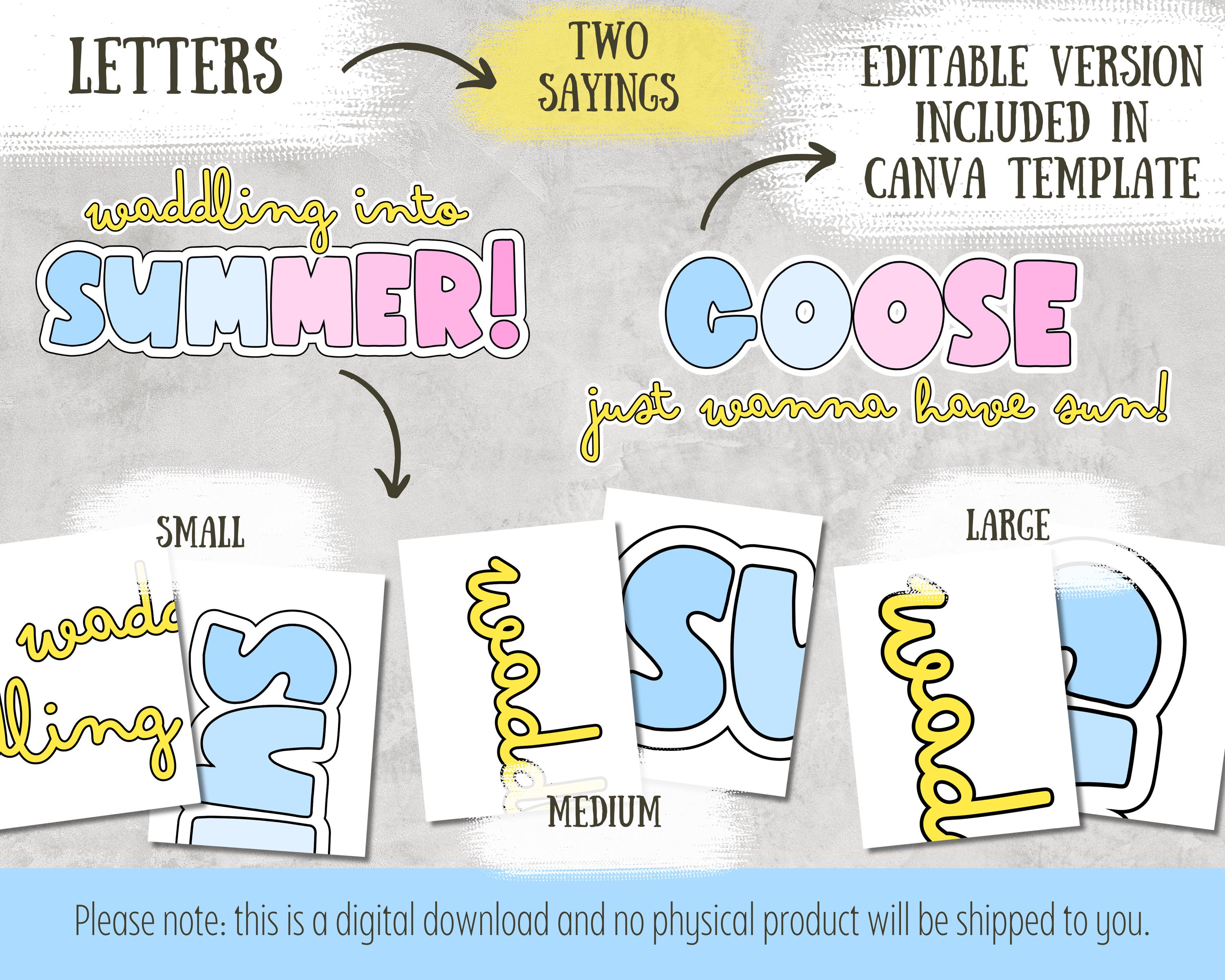 Countdown to Summer Bulletin Board Kit Silly Goose May June Door ...
