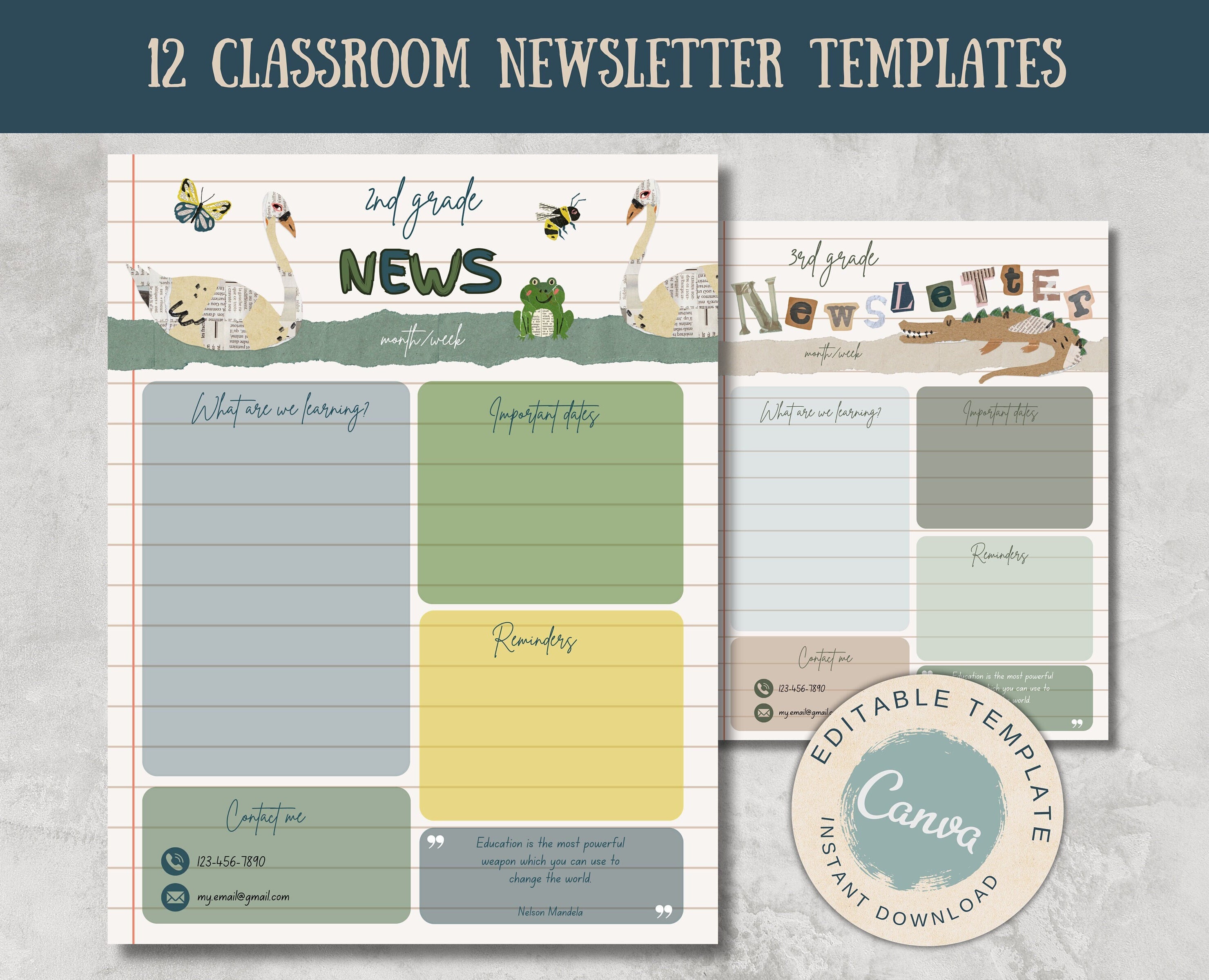 Classroom Newsletter Template Canva Classroom Newsletter for - Etsy