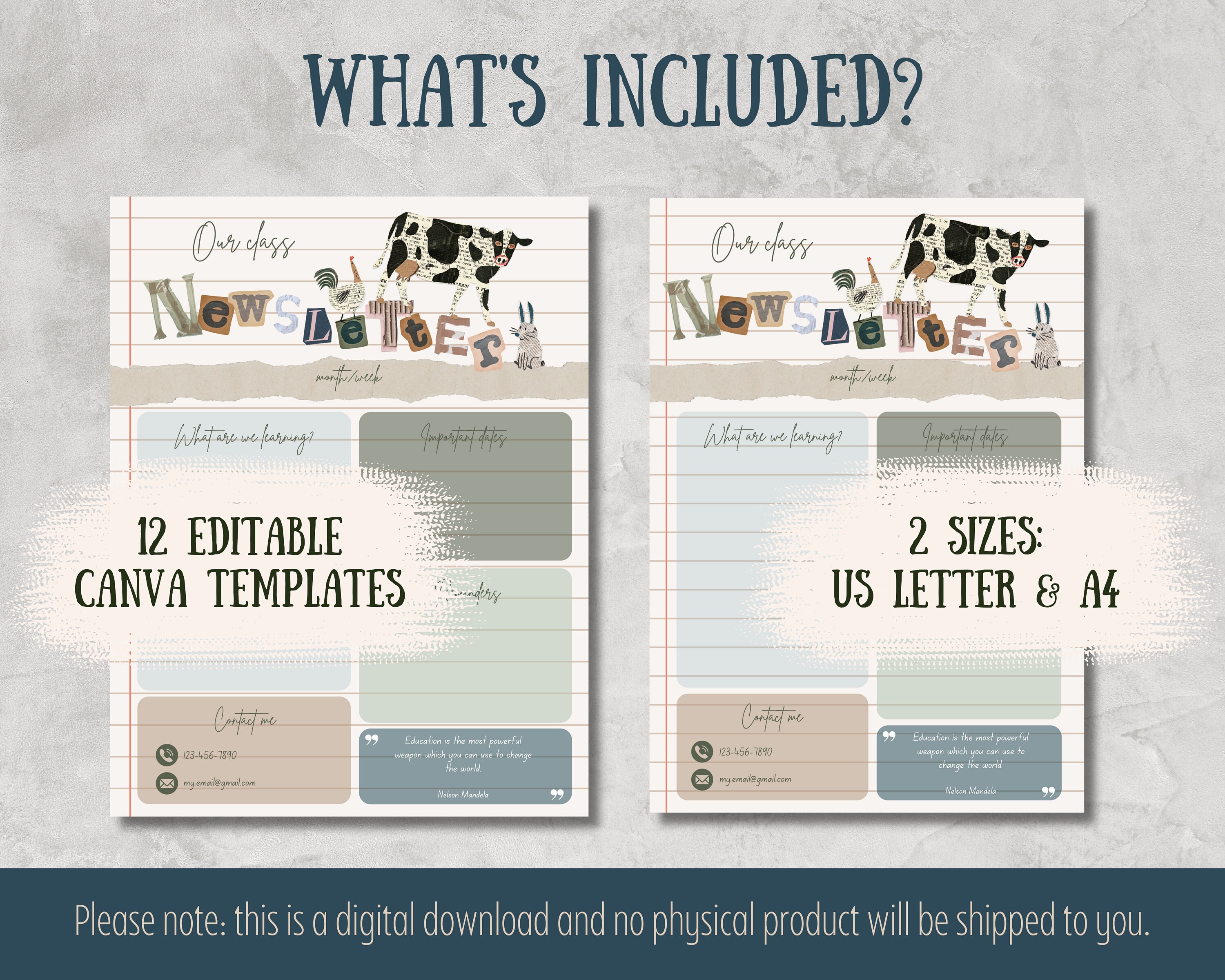 Classroom Newsletter Template Canva Classroom Newsletter for - Etsy