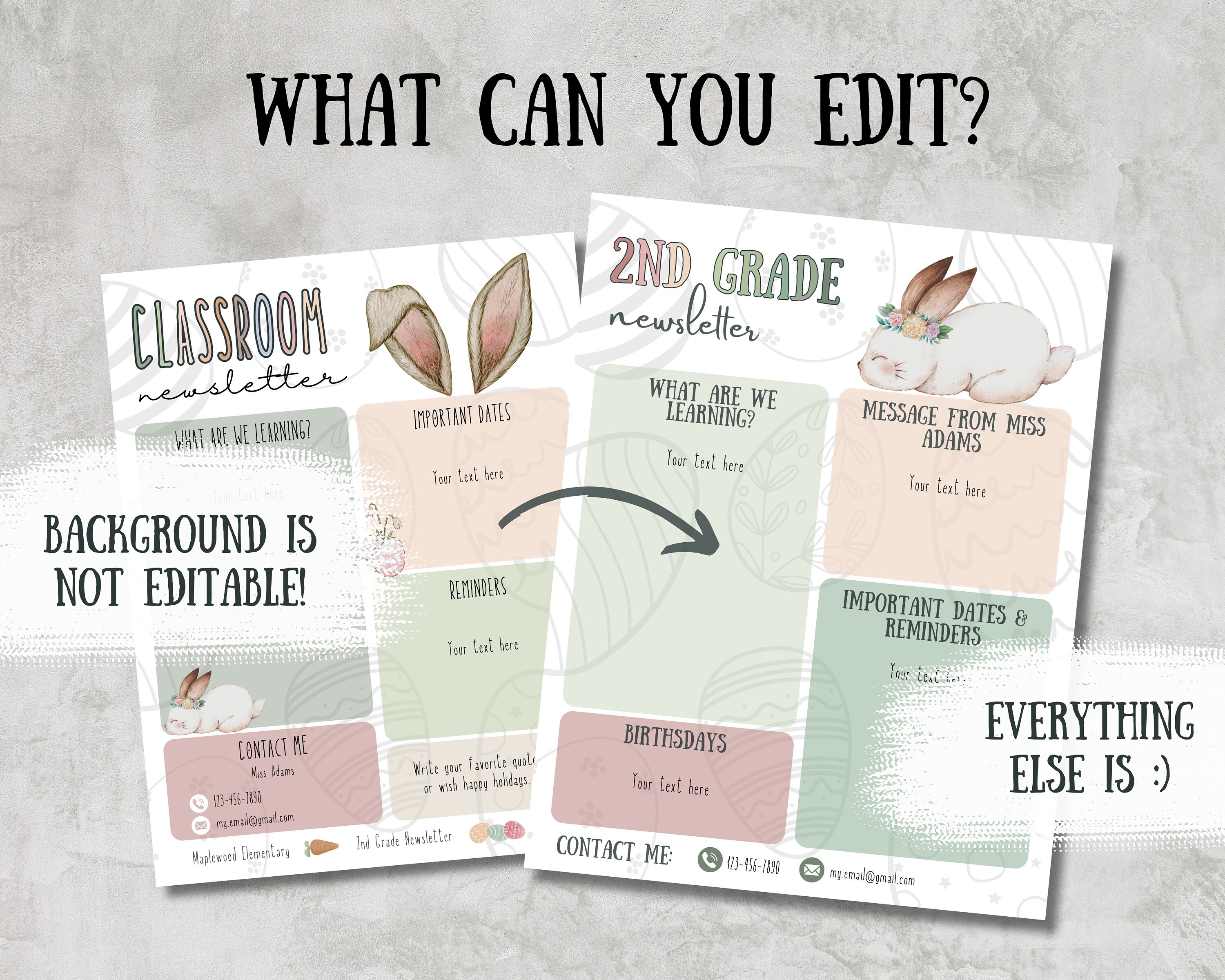 Easter Classroom Newsletter Template School Newsletter Template Canva ...