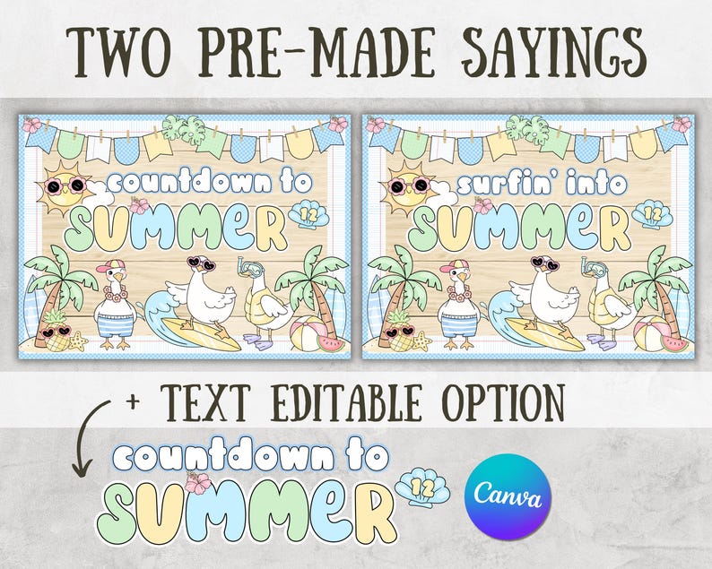 Countdown to Summer Bulletin Board Kit Silly Goose May June Door ...