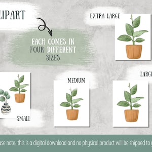 Classroom Birthday Board Class Birthday Display Classroom Birthday ...