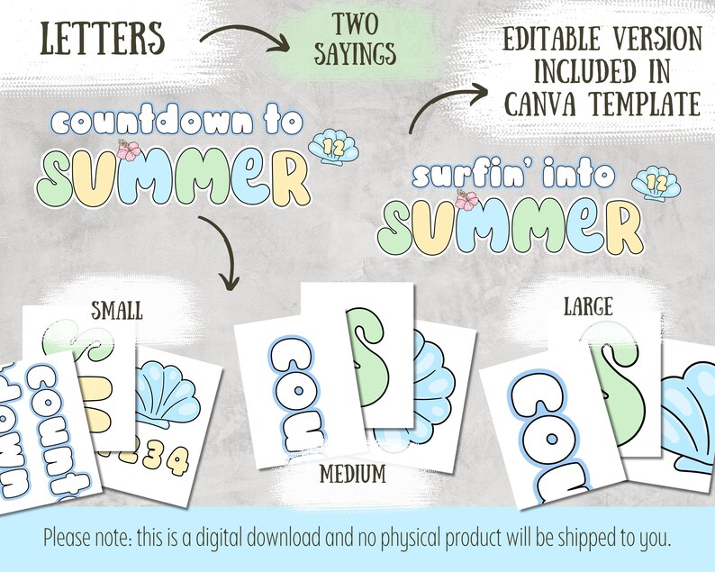 Countdown to Summer Bulletin Board Kit Silly Goose May June Door ...