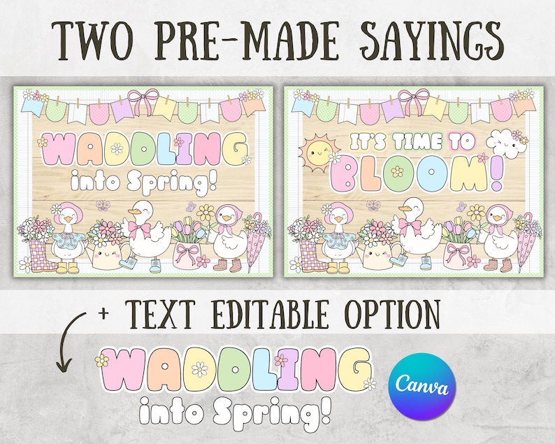 Spring Bulletin Board Kit Silly Goose March April May Door Decoration ...