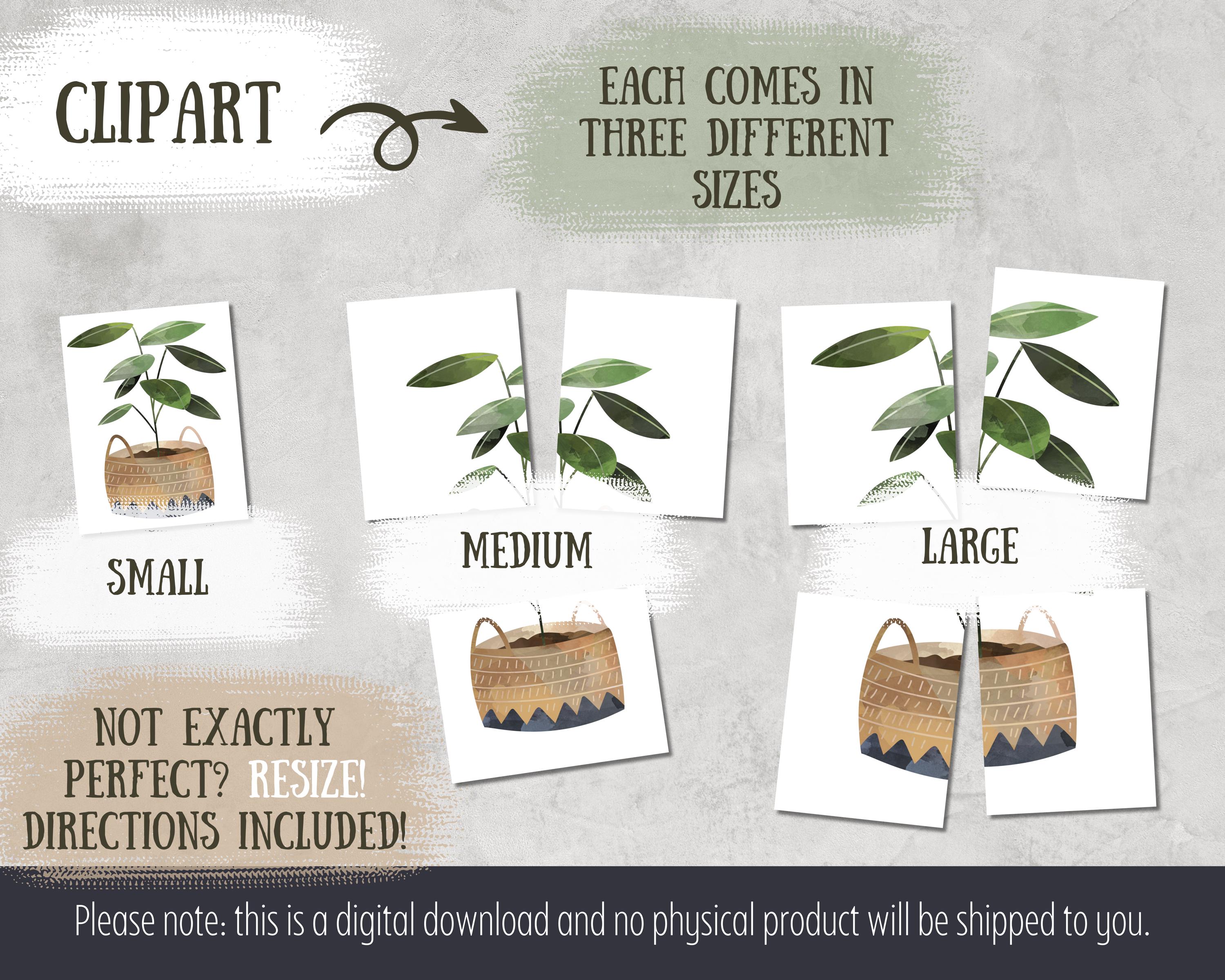 Welcome Back to School Bulletin Board Kit Plants Door Decor Grow ...
