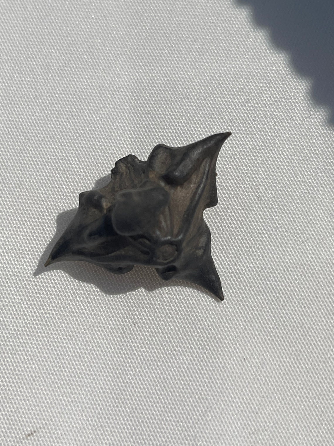 25 Devil Pod Seeds, Spike Nuts, Bat Nuts, Crafting, Beading, Spiritual ...