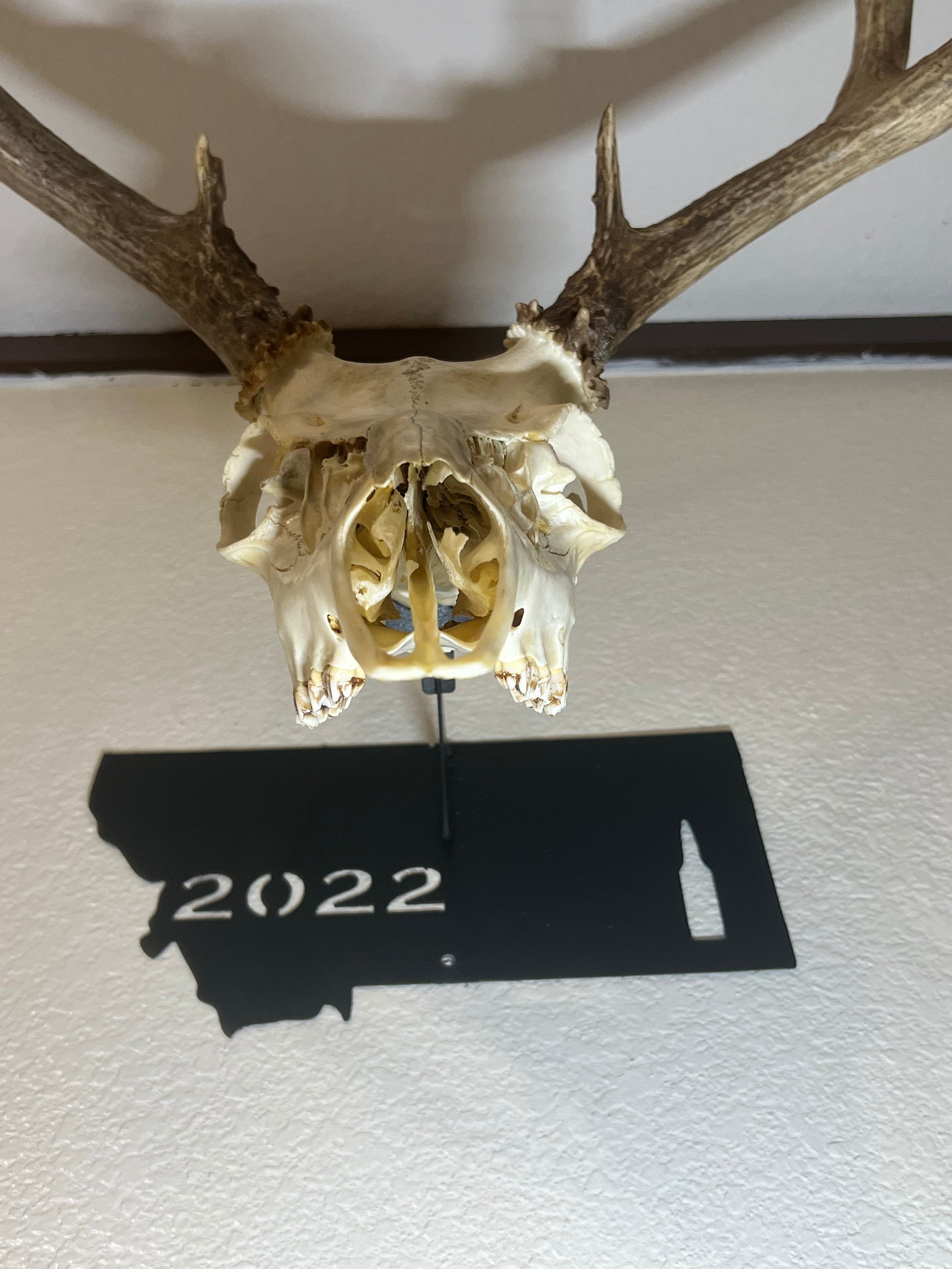 Deer Mount - Metal European Mount - Custom and Made to Order - Etsy