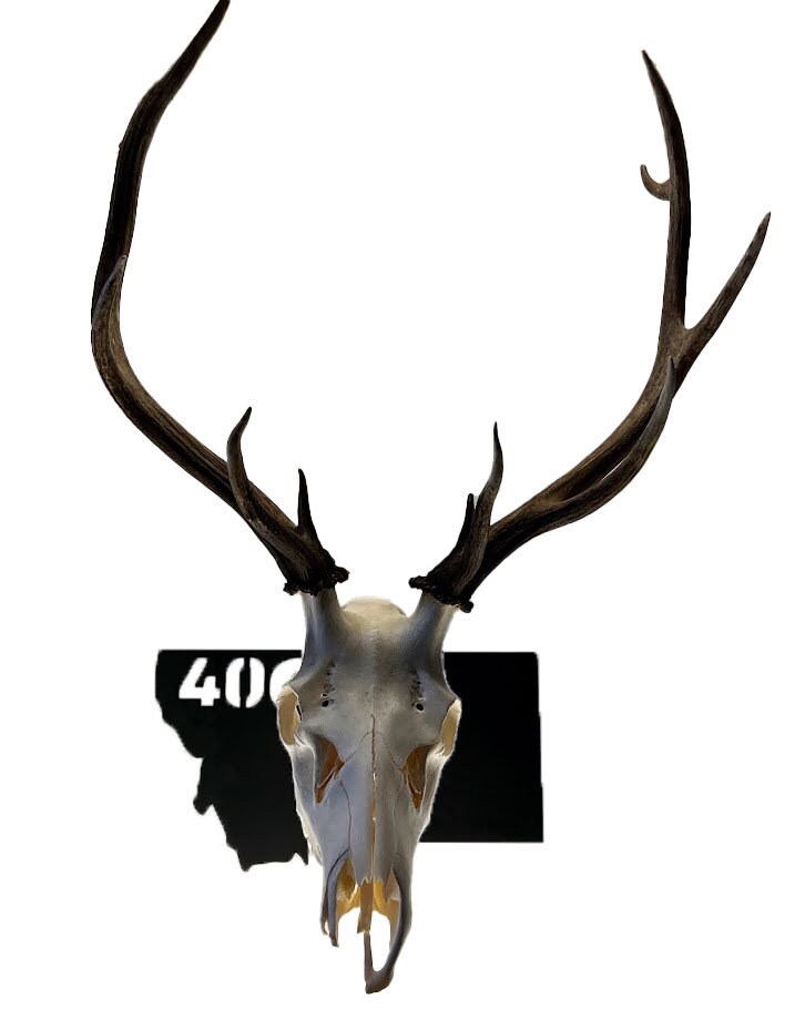 Elk Mount - Metal European Mount - Custom and Made to Order - Etsy