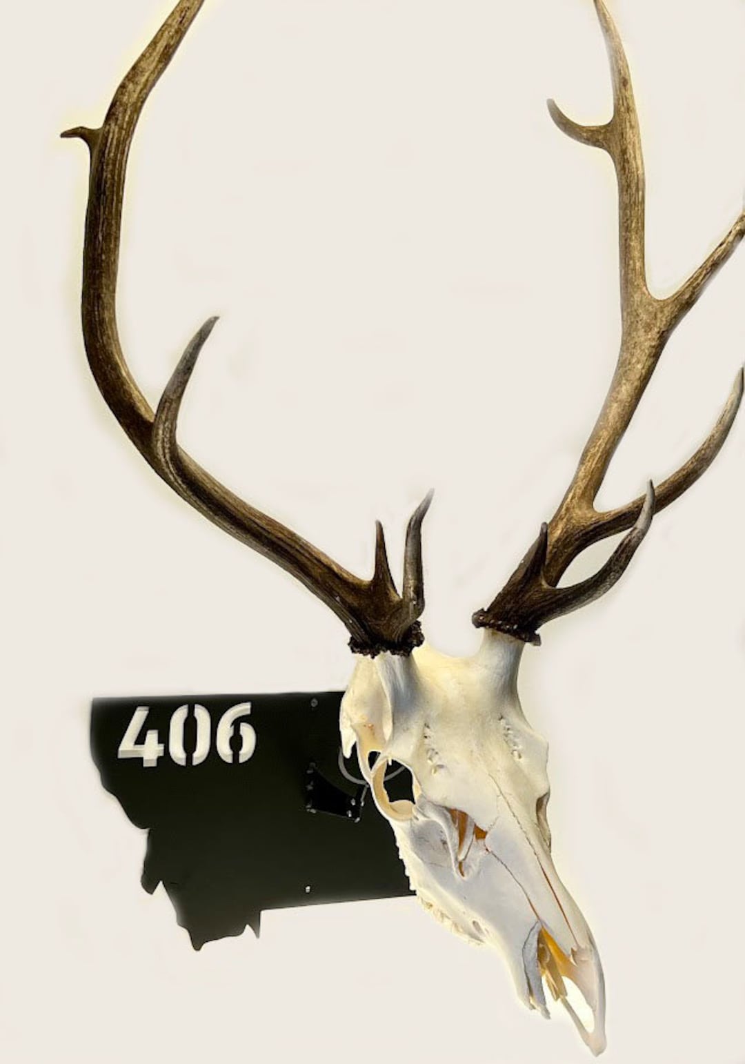 Elk Mount - Metal European Mount - Custom and Made to Order - Etsy