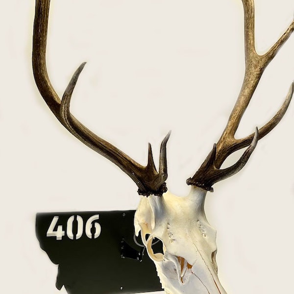 Elk Mount - Etsy
