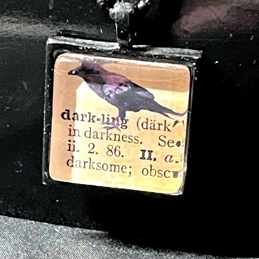 Gothic Darkling Definition Raven Pendant Necklace Raven Goth Punk - Etsy