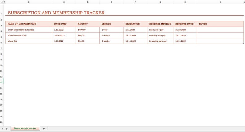Subscription and Membership Tracker | Excel & Google Sheets Template ...
