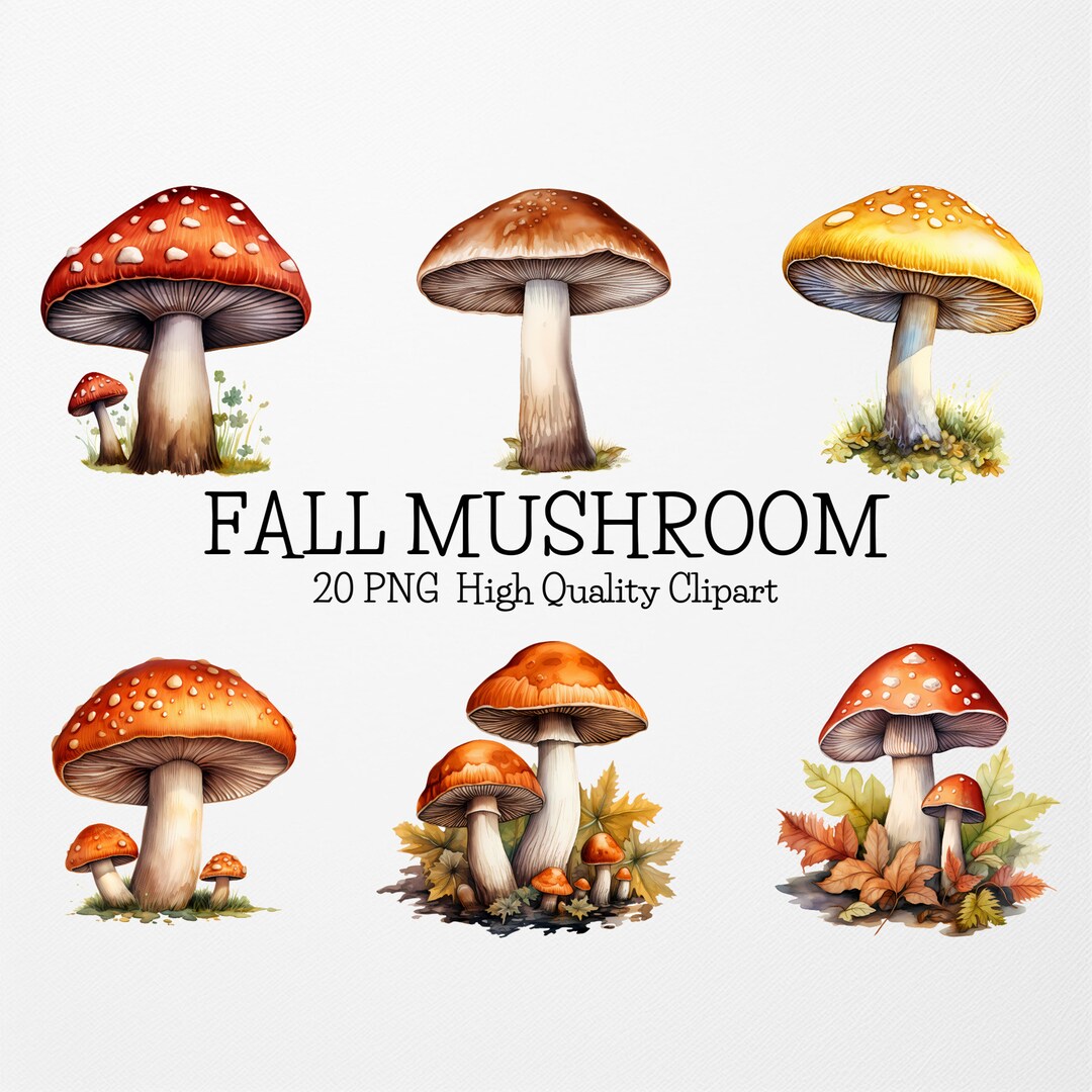Watercolor Fall Mushroom Png Clipart,20 High Quality Png,mushroom ...