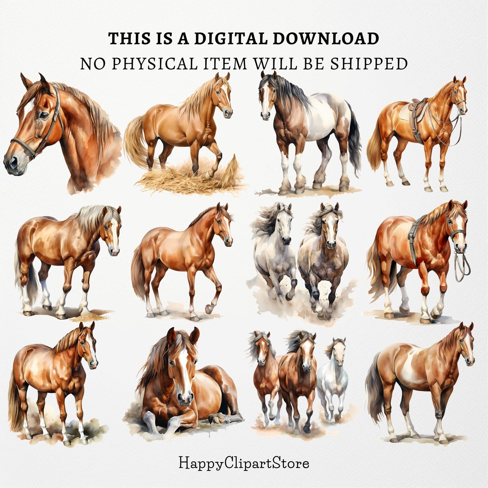 Watercolor Horse Clipart,12 High Quality Png,farm Animals Png,horse ...