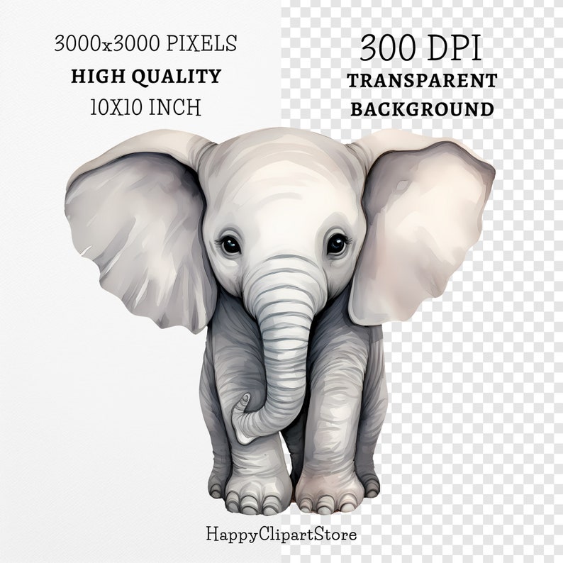 Baby Elephant PNG Clipart Bundle,12 Transparent Background High Quality ...