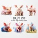 Baby Pig Clipart Bundle,12 High Quality Png,baby Farm Animals,cute ...