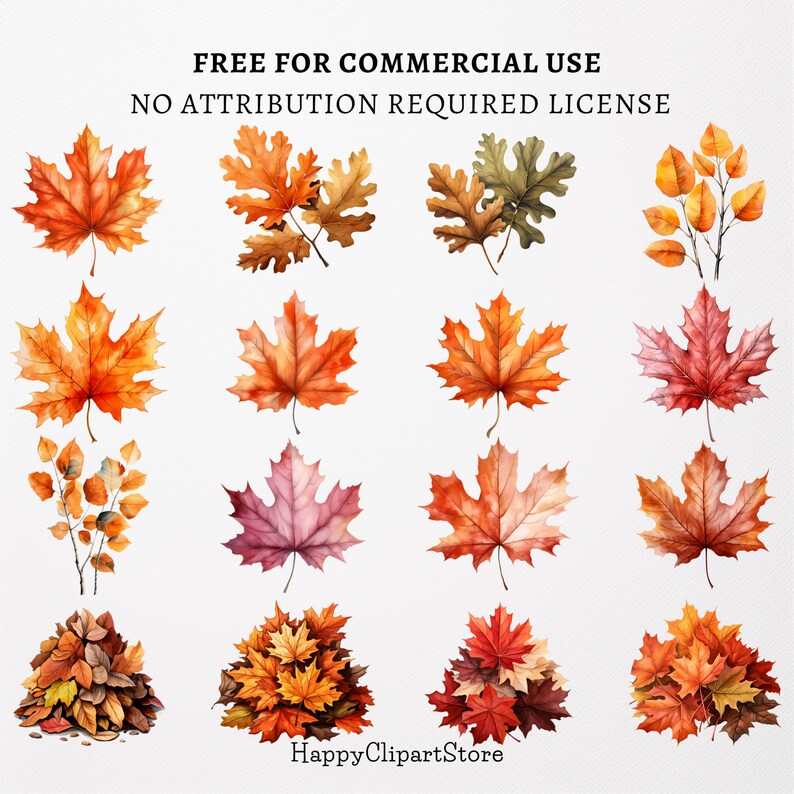 Watercolor Fall Leaves Png Clipart,33 High Quality Png,fall Leaf ...