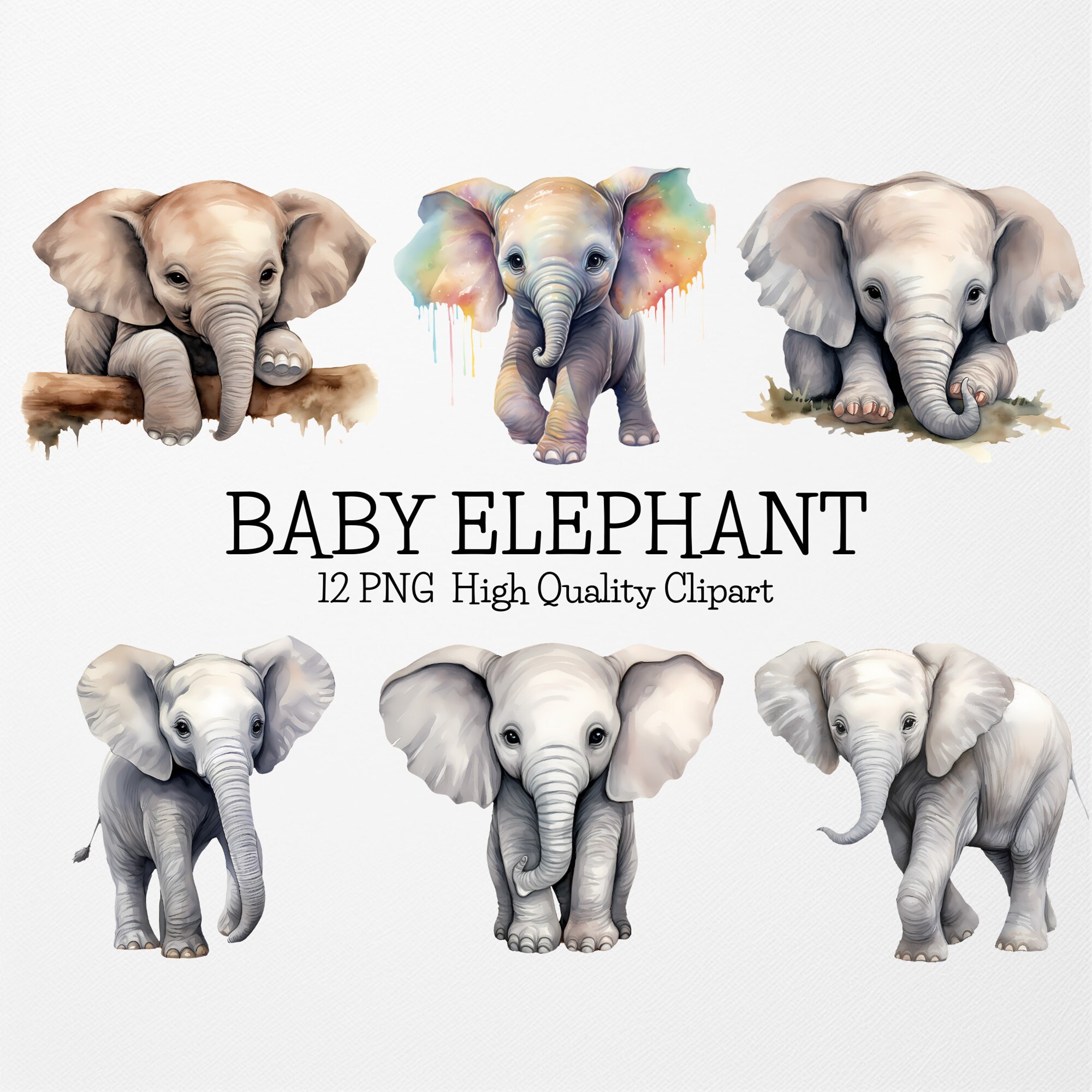 Baby Elephant PNG Clipart Bundle,12 Transparent Background High Quality ...