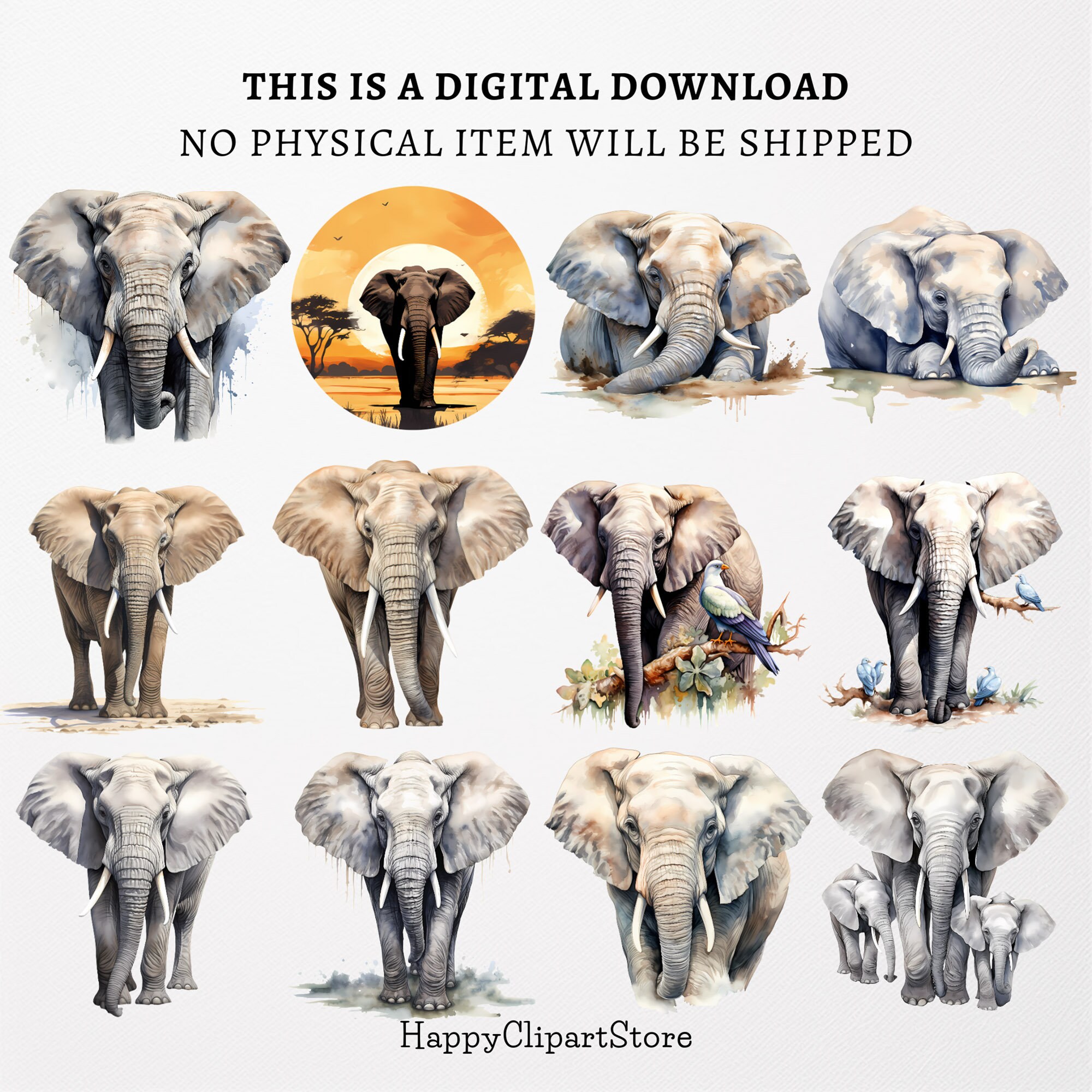 Watercolor Elephant PNG Clipart Bundle,12 High Quality Png,safari ...