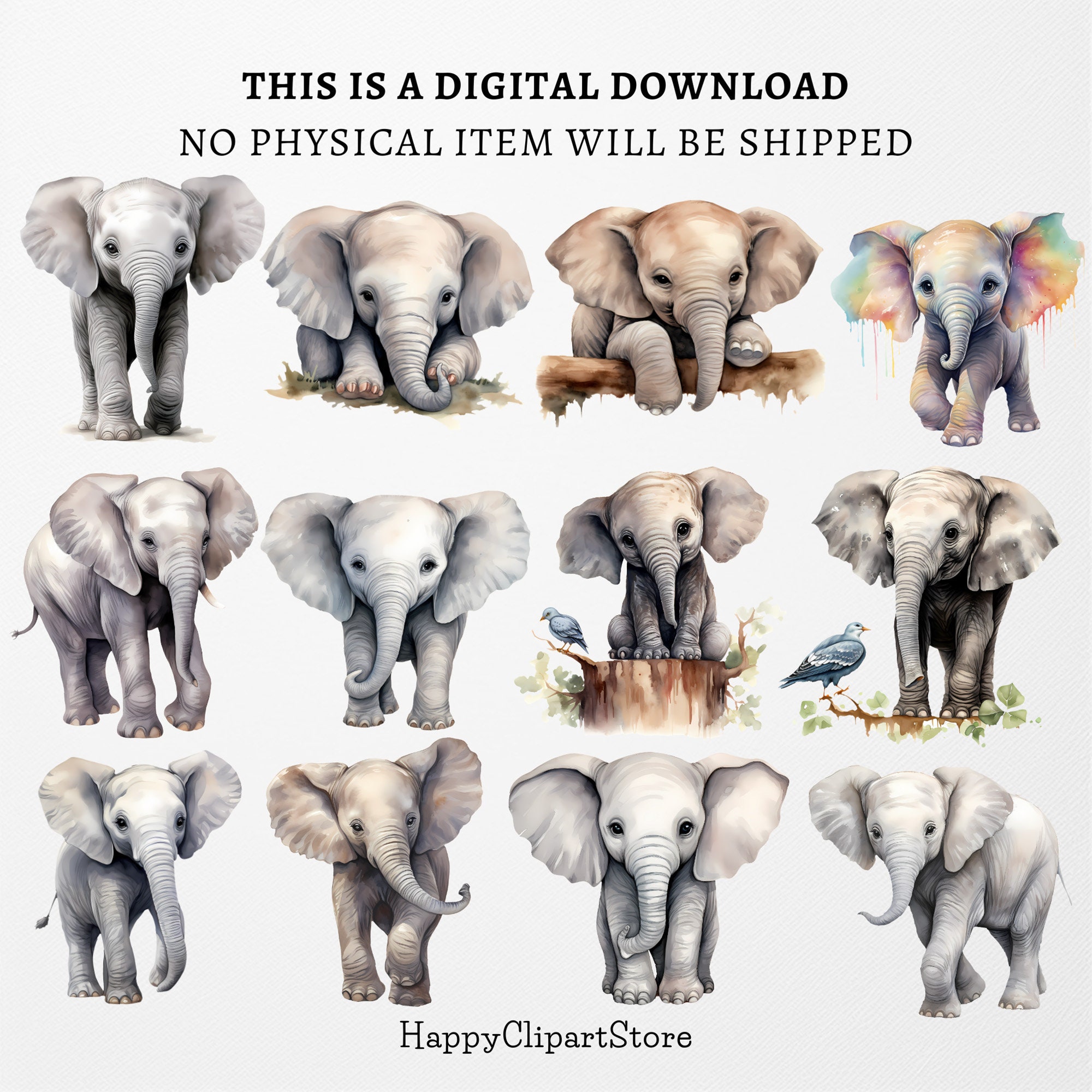 Baby Elephant PNG Clipart Bundle,12 Transparent Background High Quality ...