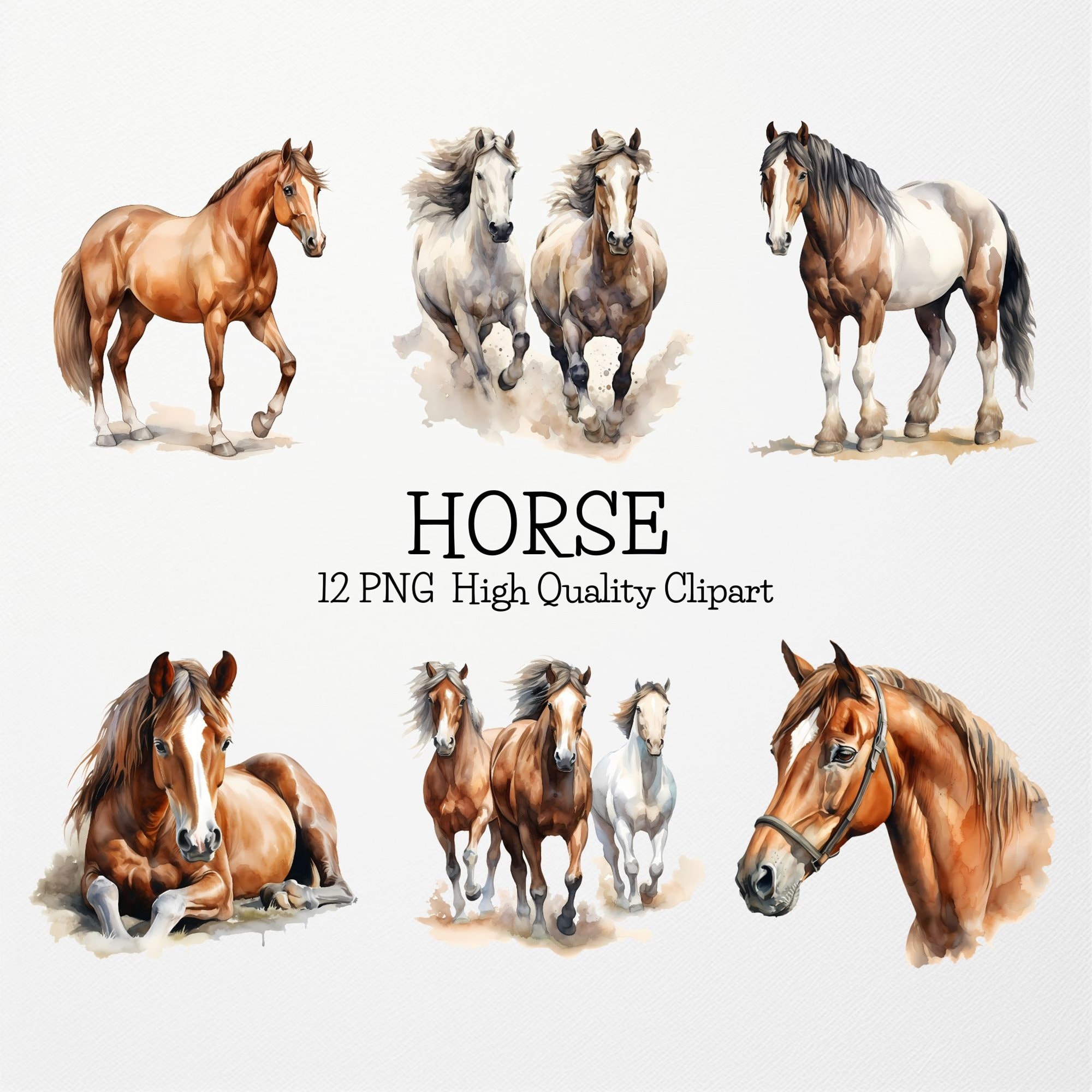 Watercolor Horse Clipart,12 High Quality Png,farm Animals Png,horse ...