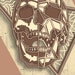 Skull 3D Layered SVG File, Wood Laser Cutting, Digital Download Svg Ai ...
