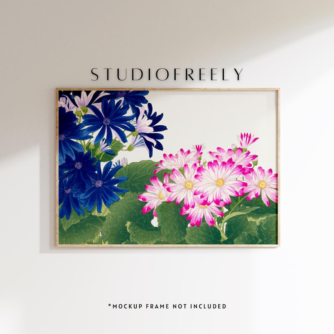 Konan Tanigami Flower Print, Vintage Japanese Botanical Art, Cineraria ...
