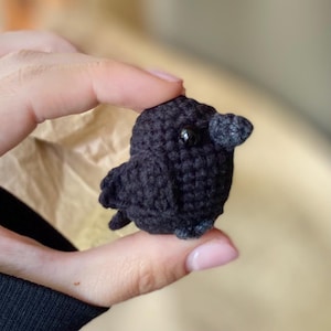 Raven Crochet Pattern: Amigurumi Halloween Crow Keychain Skull Decor ...