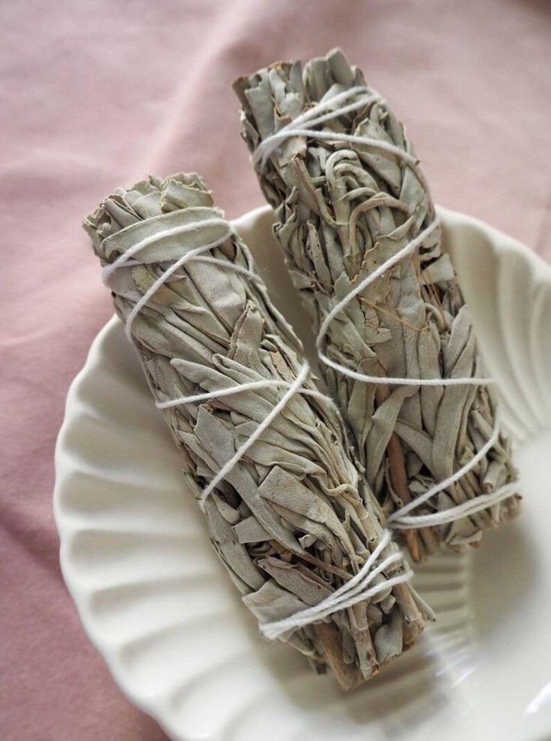 Cedar White Sage Smudge Sticks Sustainably Grown in California (4-5 ...