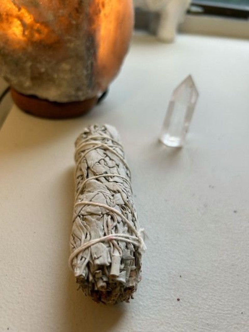 Cedar White Sage Smudge Sticks Sustainably Grown in California (4-5 ...