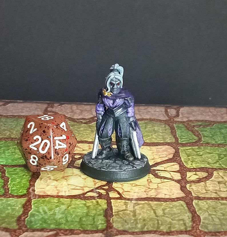 Hand Painted Female Drow Dark Elf Fighter Warrior Paladin Miniature for ...