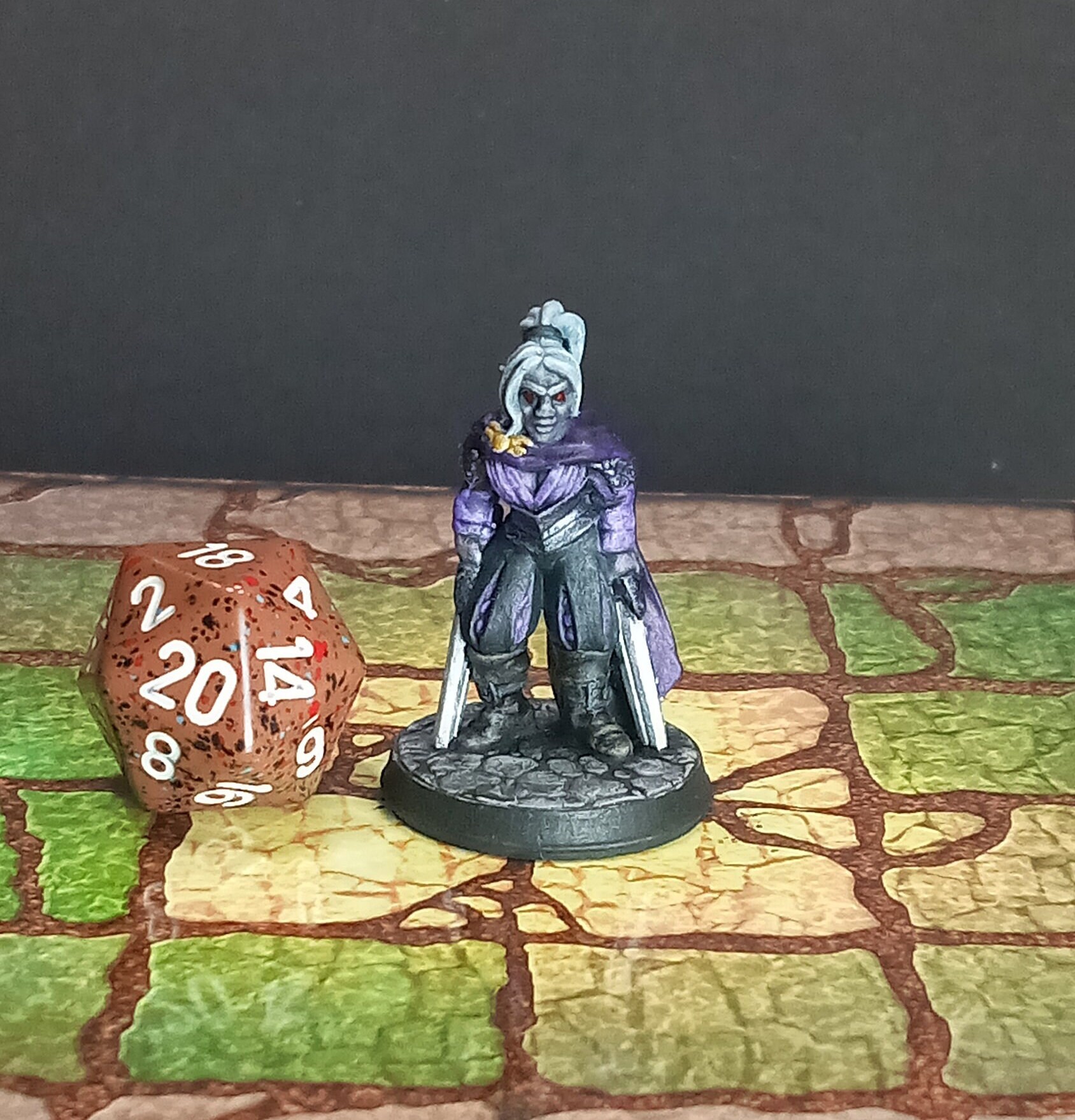 Hand Painted Female Drow Dark Elf Fighter Warrior Paladin Miniature for ...