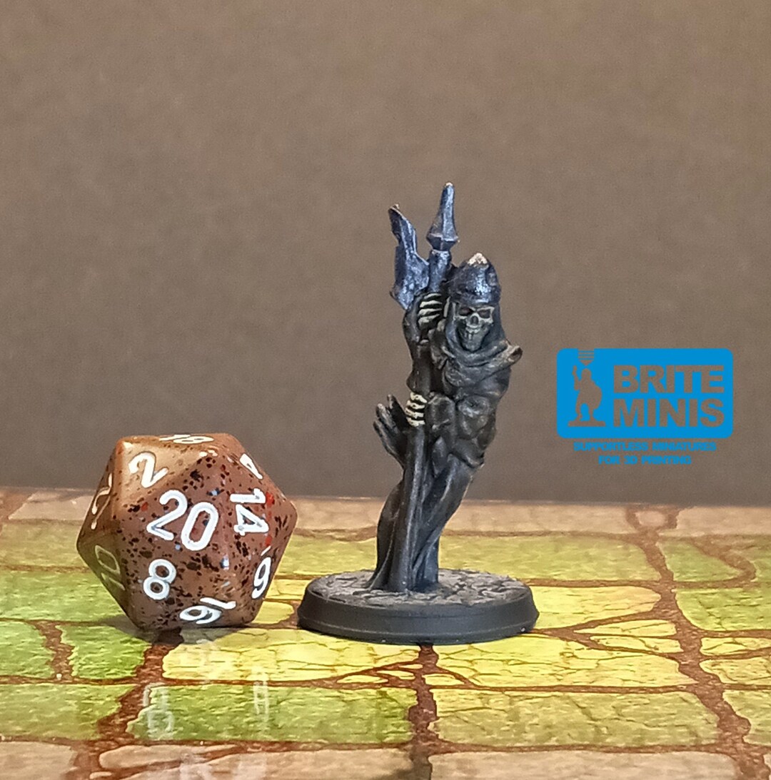 Hand Painted Undead Wight, Wraith, Skeleton, Specter Miniature for ...