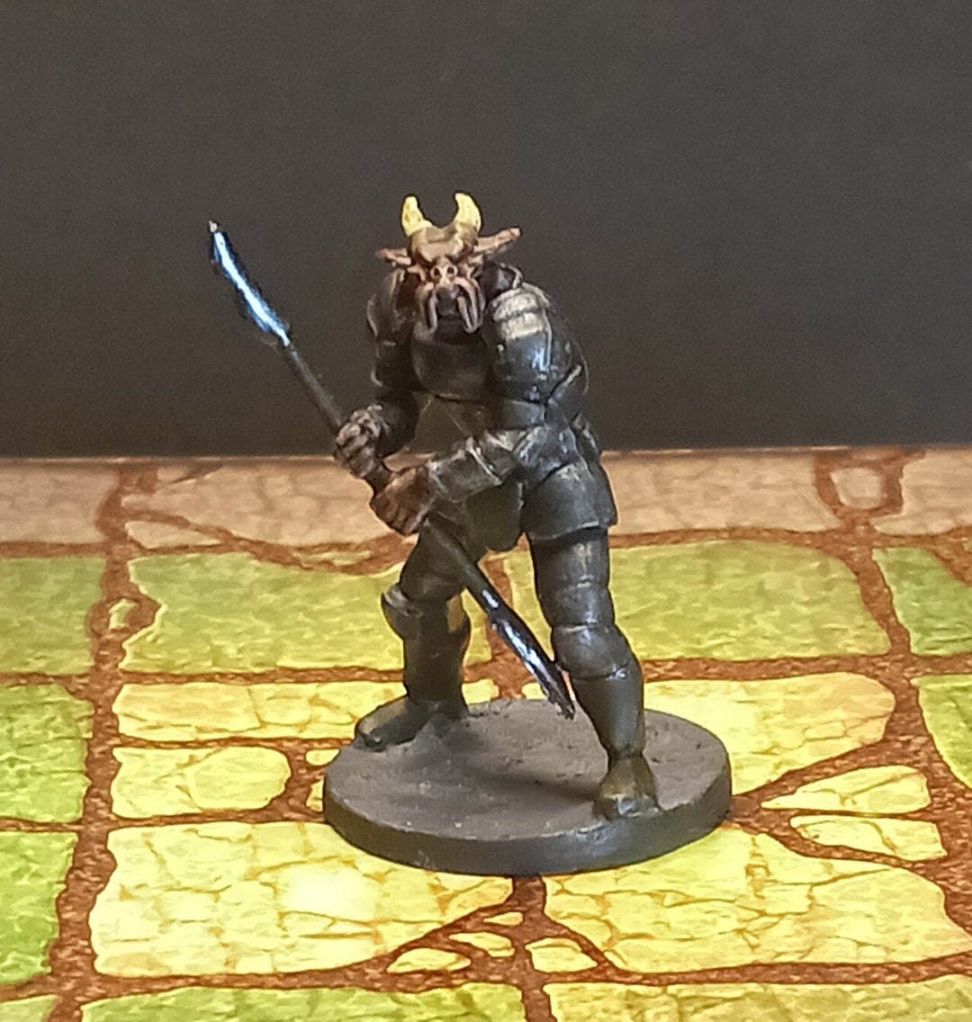Hand Painted Dragonborn Fighter Paladin Miniature for Dungeons and ...