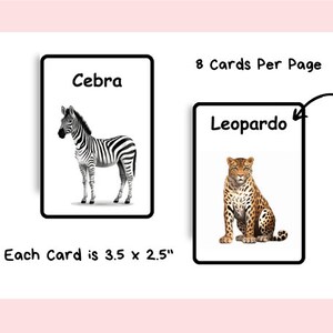 Jungle Animals Flashcards Spanish Montessori Learning Activity ...