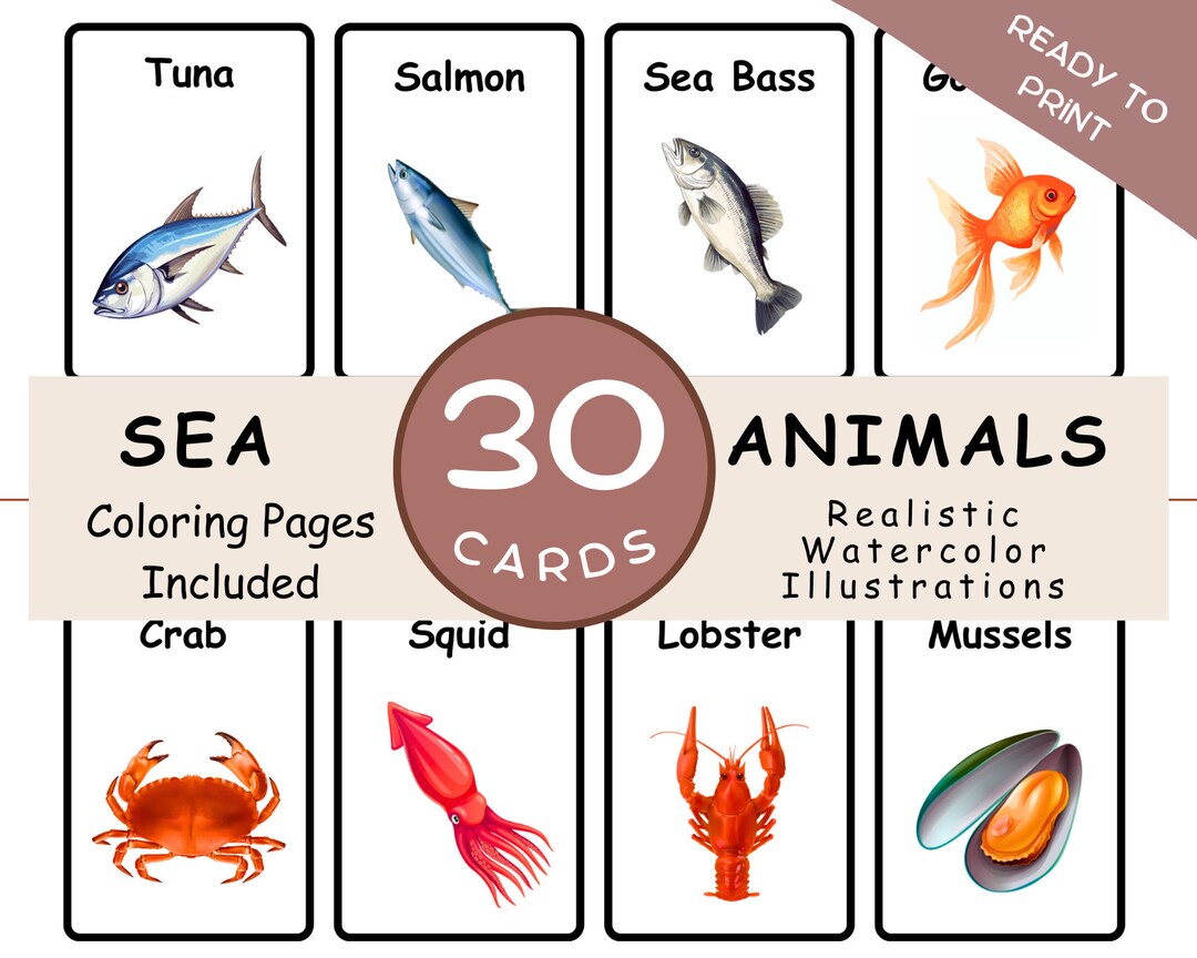 Sea Animal Flashcards for Kids Nomenclature Cards Montessori Printables ...