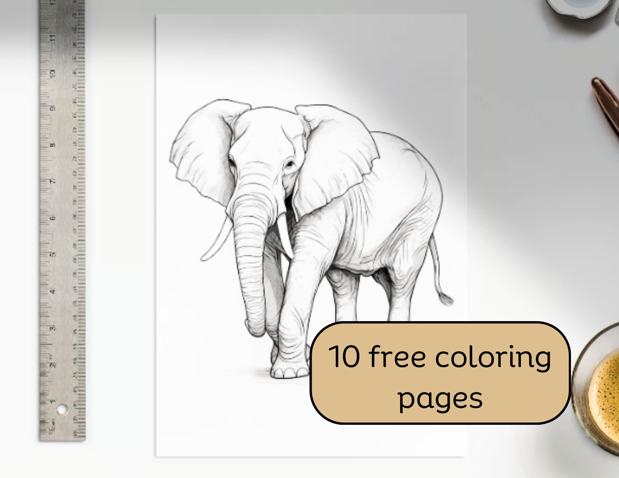 Jungle Animals Flashcards Spanish Montessori Learning Activity ...