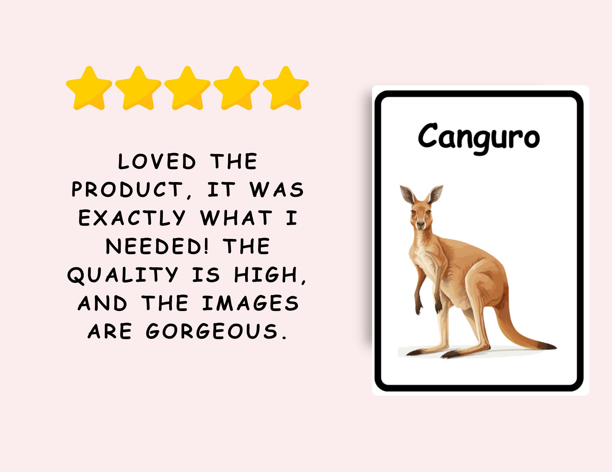 Jungle Animals Flashcards Spanish Montessori Learning Activity ...