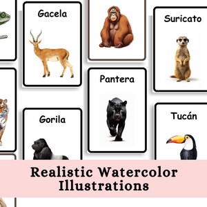 Jungle Animals Flashcards Spanish Montessori Learning Activity ...