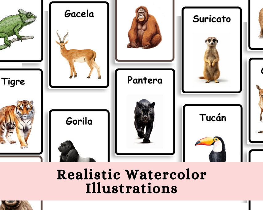 Jungle Animals Flashcards Spanish Montessori Learning Activity ...