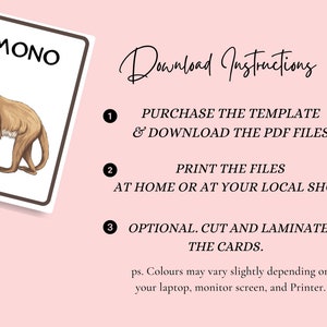 Jungle Animals Flashcards Spanish Montessori Learning Activity ...