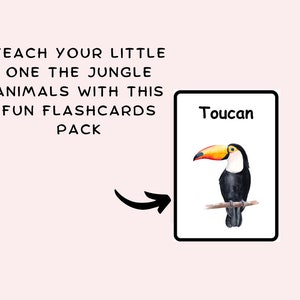 Jungle Animals Flashcards Spanish Montessori Learning Activity ...