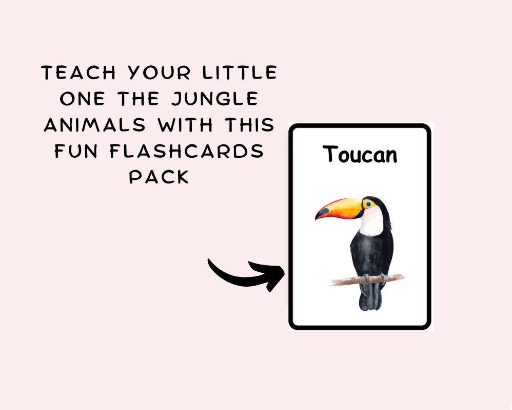 Jungle Animals Flashcards Spanish Montessori Learning Activity ...