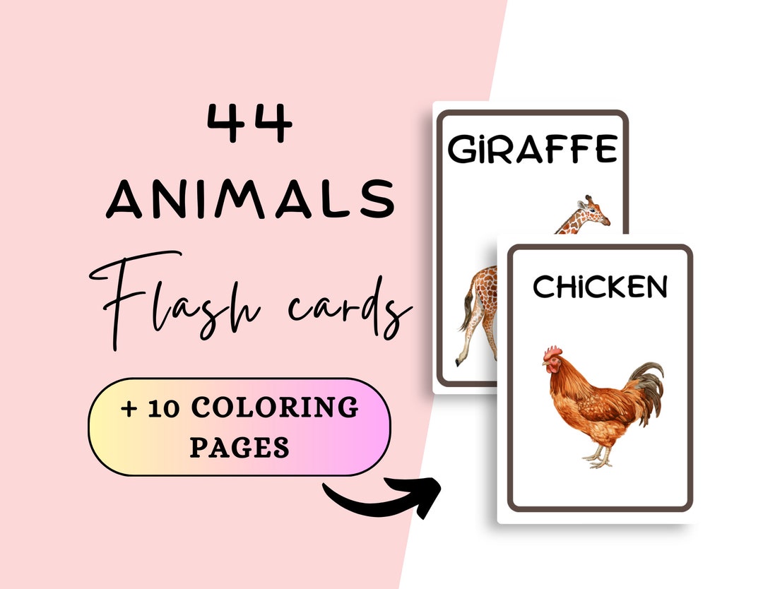 Farm and Jungle Animals Bundle Cards Preschool Flashcards for - Etsy