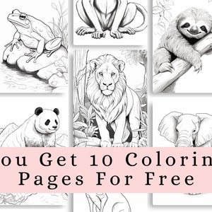 Jungle Animals Flashcards Spanish Montessori Learning Activity ...