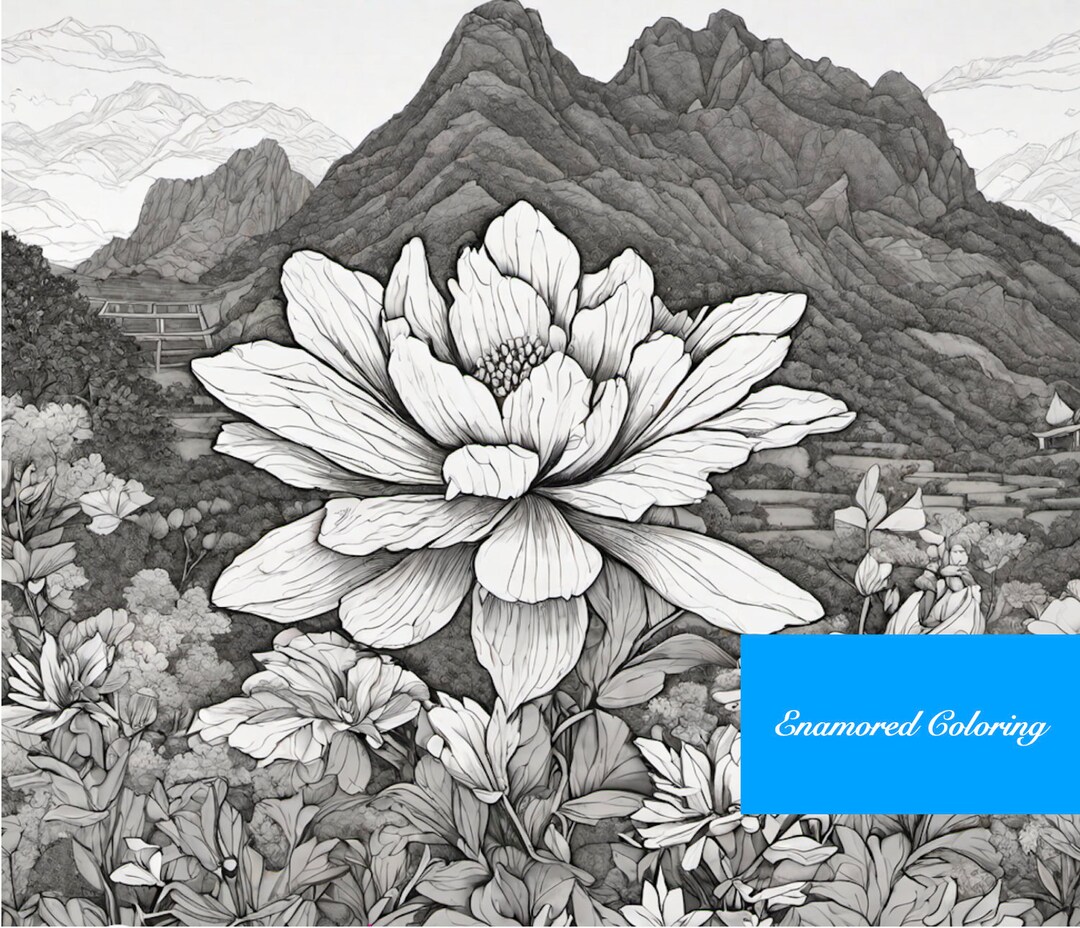 Flower of China Coloring Page - Etsy